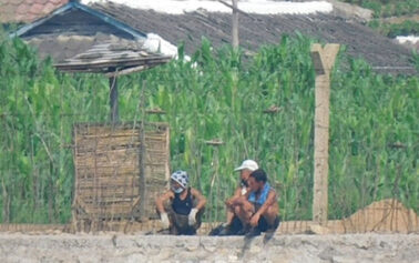 Edgar Cayce’s Sphinx prophecy – Cosmic Tribune